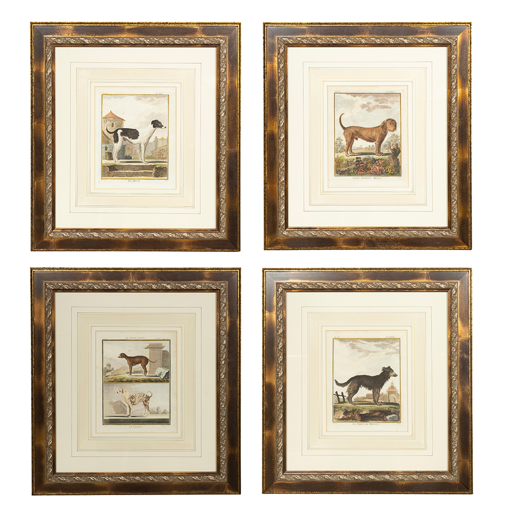 Set of Four Hand Colored Engravings of Dogs - David Neligan Antiques